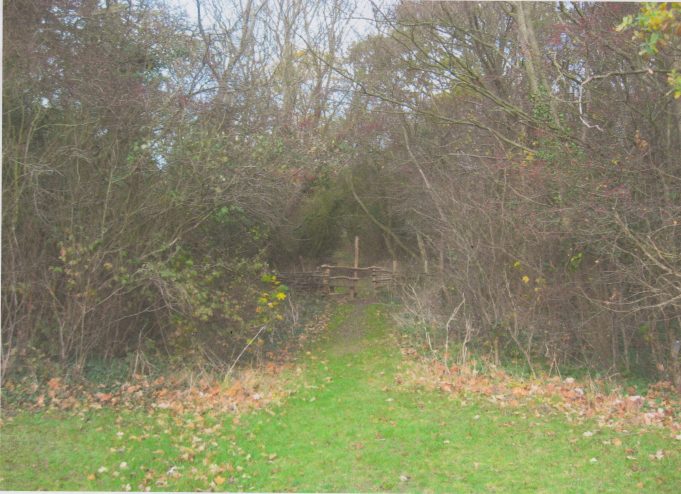 Laindon Park Conservation | NATURAL HISTORY | Laindon & District ...