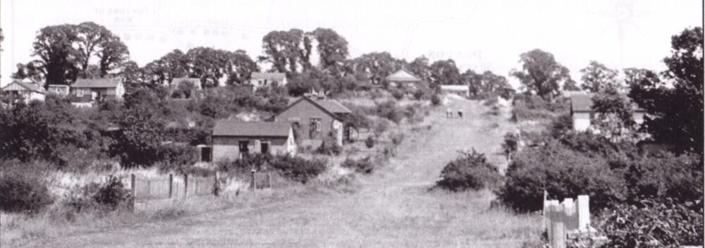 Laindon & District Community Archive | Your history, memories, photos ...